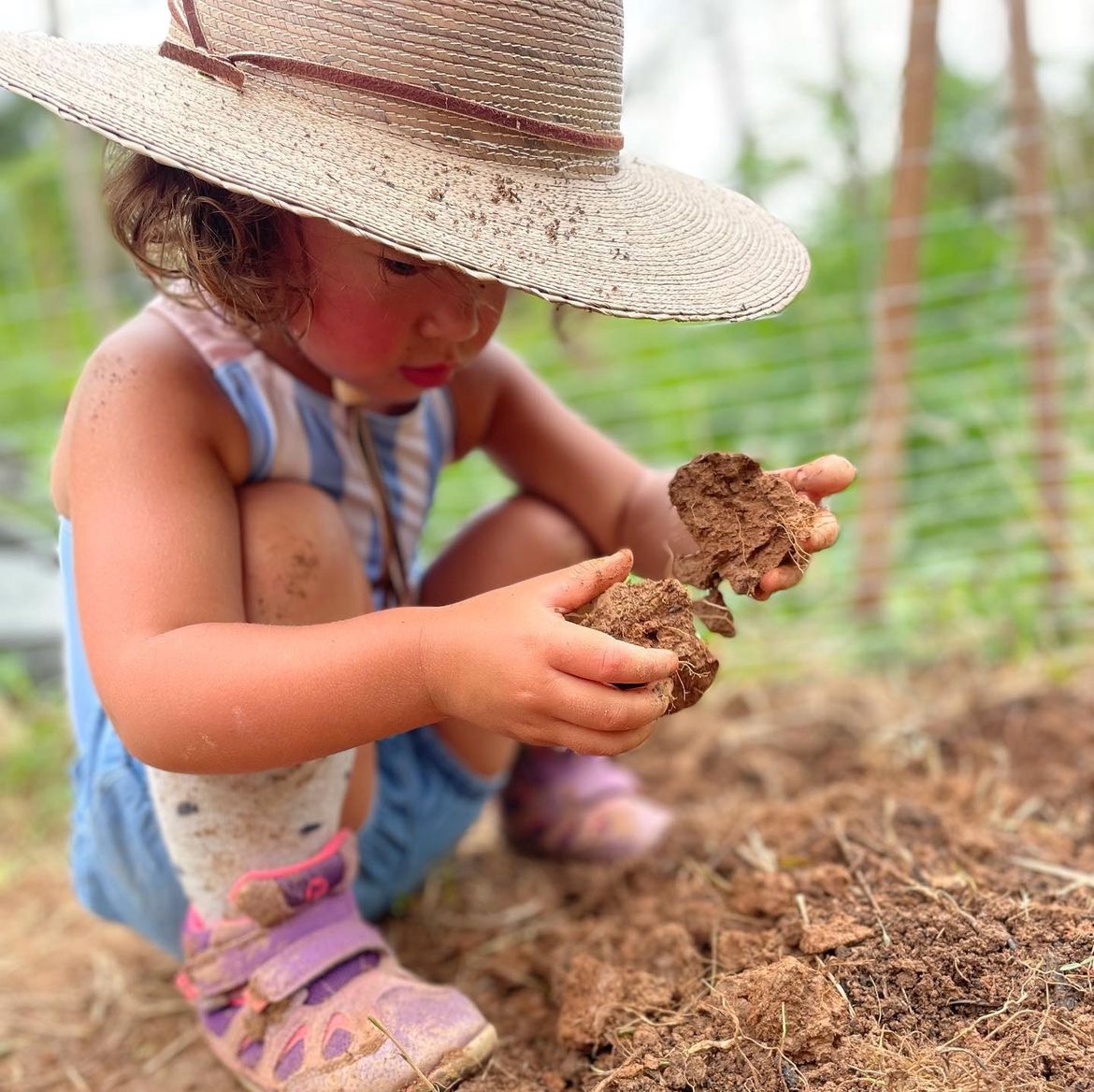Little Land Stewards Nature Based Childcare – Childcare that Digs Deep